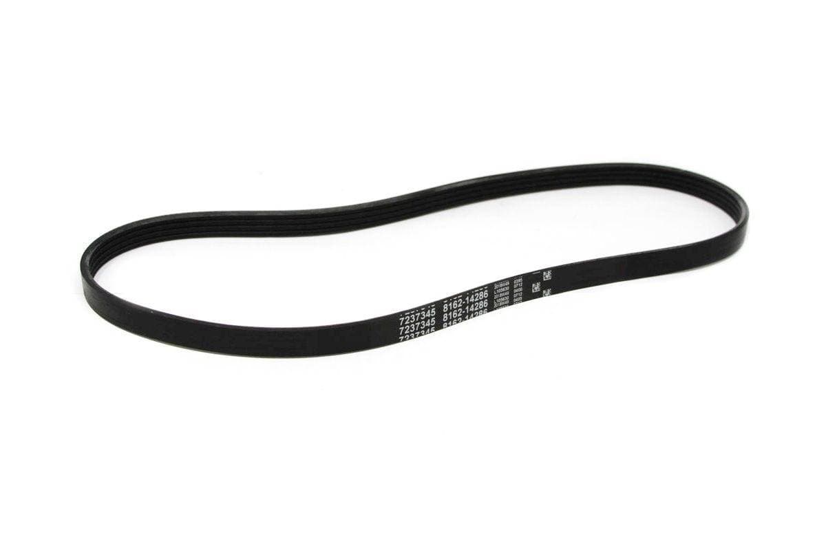 Bobcat A/C Compressor Belt - 7237345 - Westerra Equipment